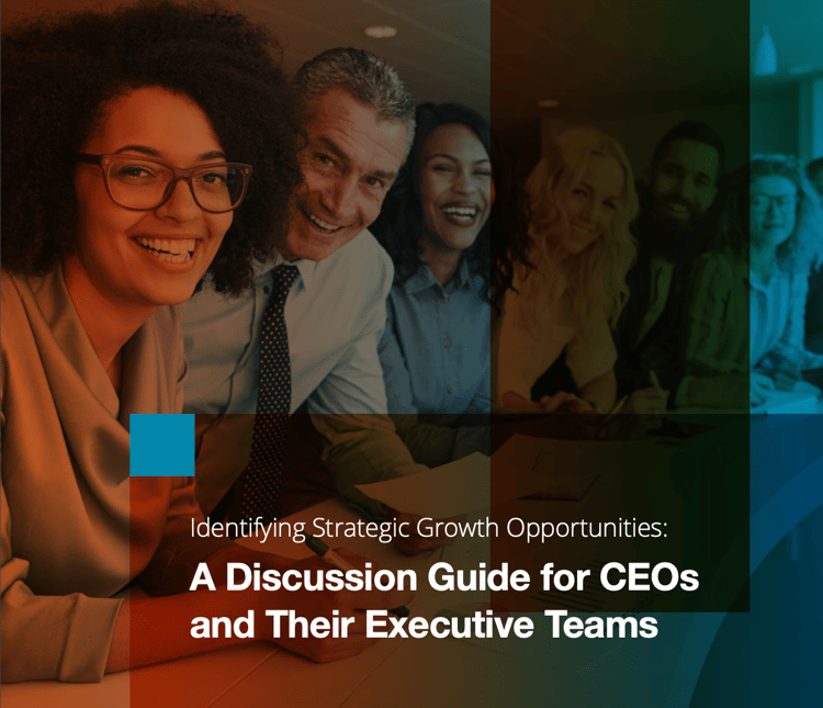 Identifying Strategic Growth Opportunities eBook | Chief Outsiders