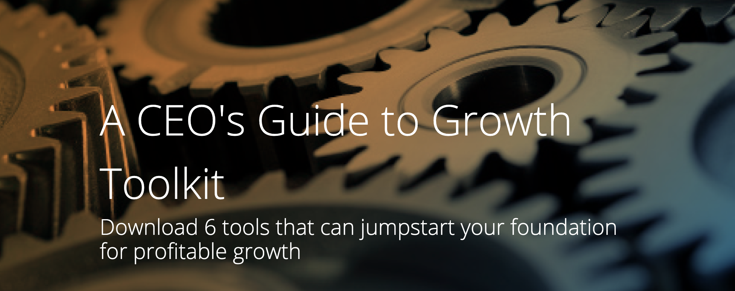 A CEO's Guide to Growth Toolkit | Chief Outsiders